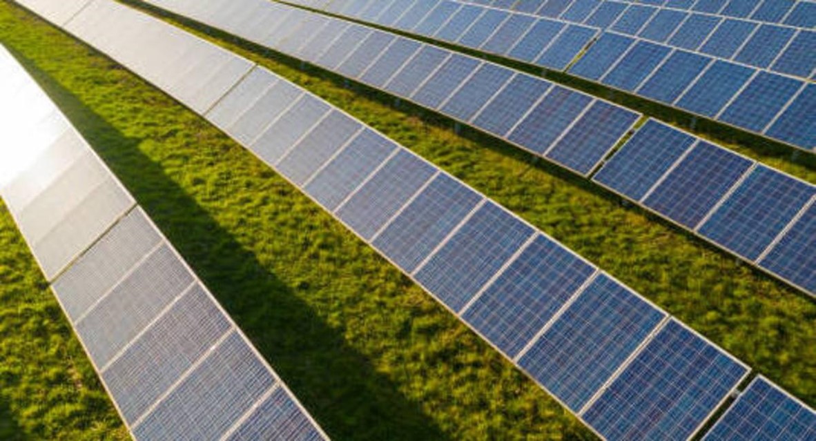 A Complete Guide to Green Roofs | Half Moon Bay Cabins