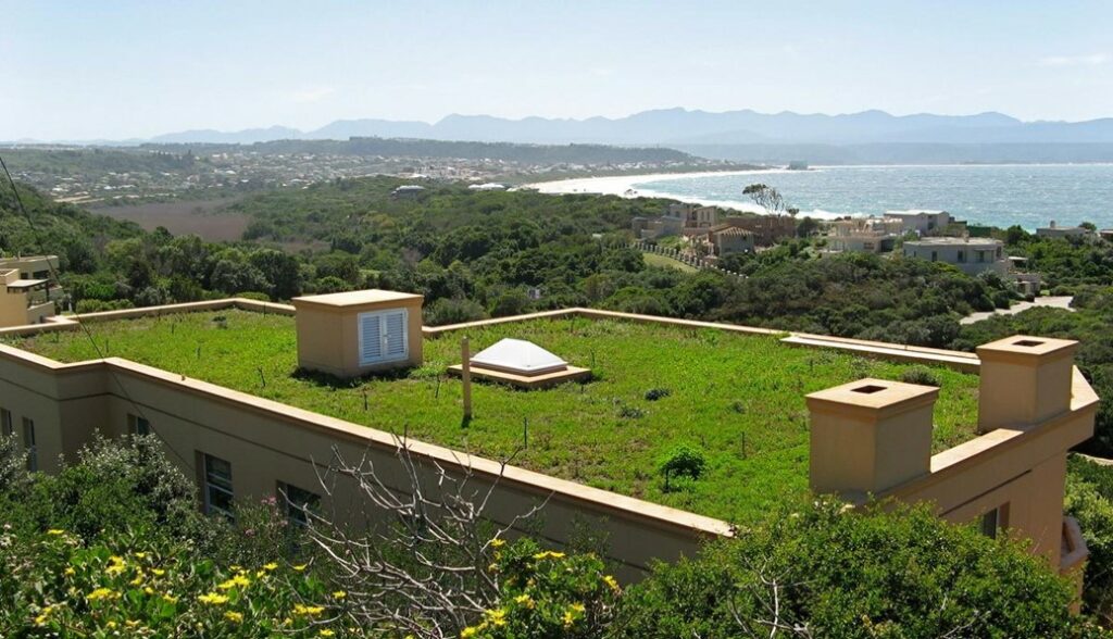 A Complete Guide to Green Roofs | Half Moon Bay Cabins